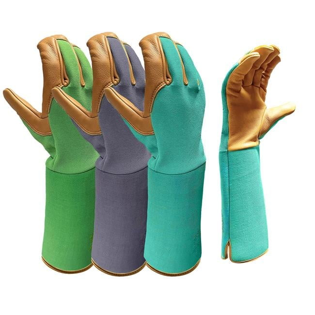 Bellingham 086580 C7355ACL Bellingham Tuscany Ladies Extended MP3 ...