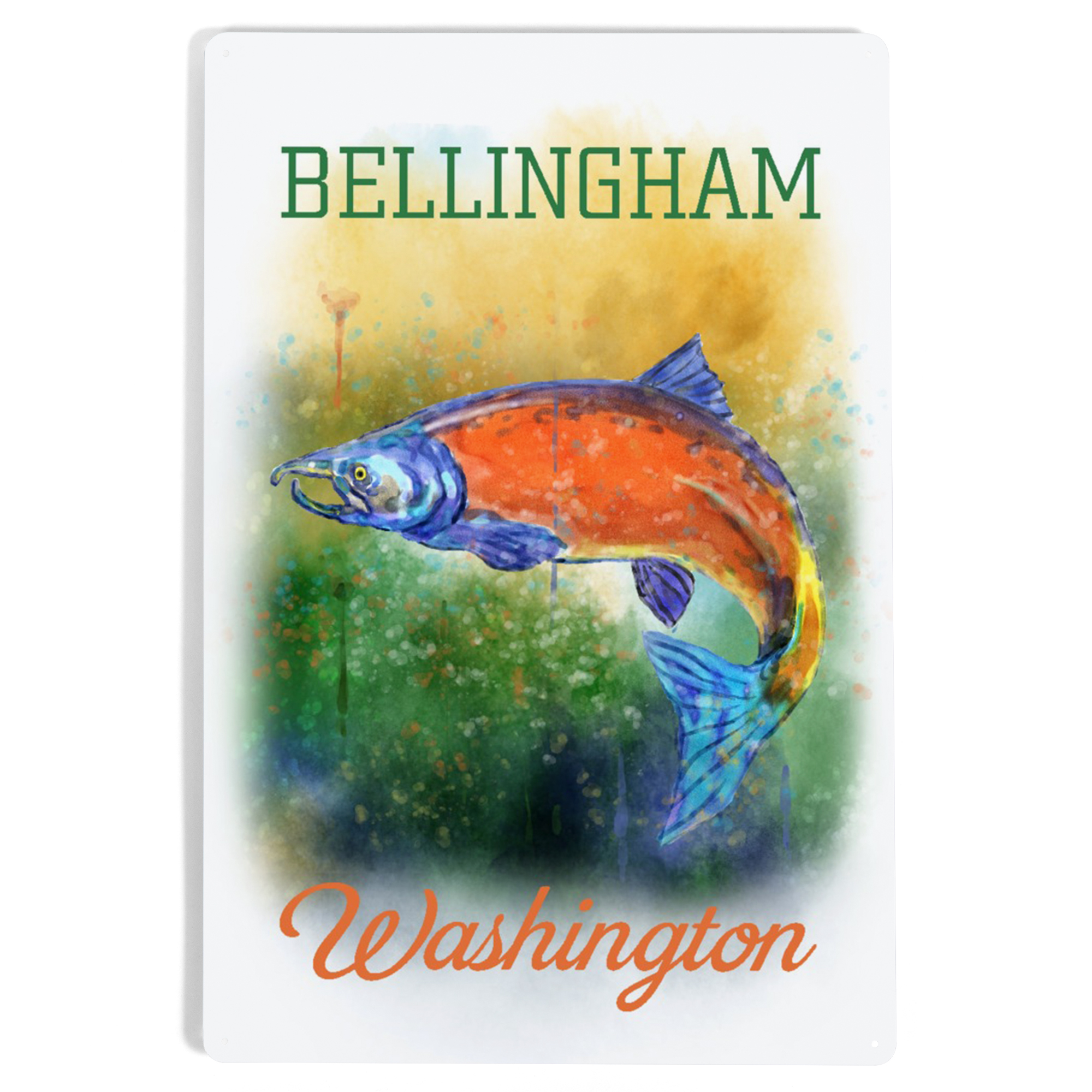 Bellingham, Washington, Salmon, Watercolor (12x18 Aluminum Art, Indoor ...
