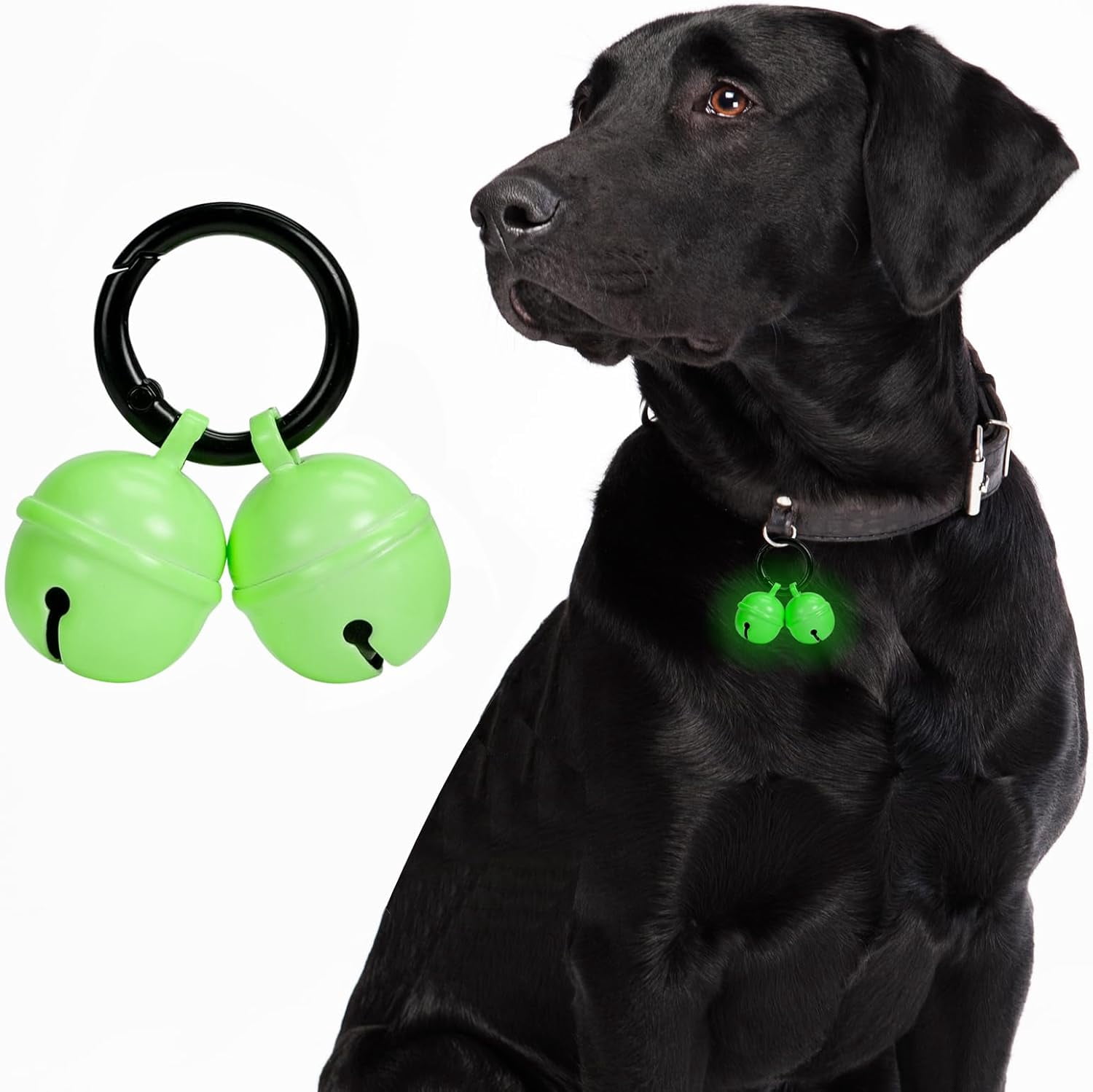 Bells for Dog Collar, Glow Bell Medium to Lar Dogs, Easy Clip Clasp ...