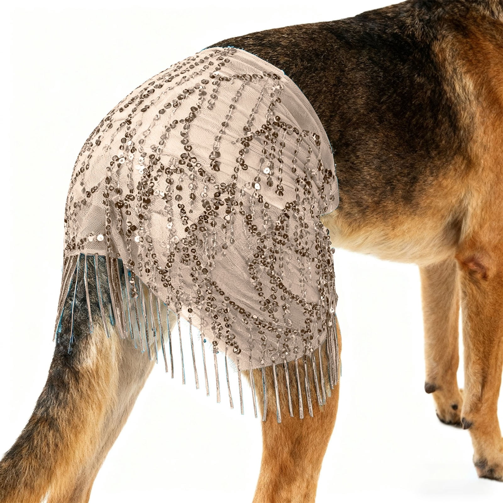 Belly Dance Skirt for Pets, Belly Dance Hip Scarf for Dogs, Adjustable ...