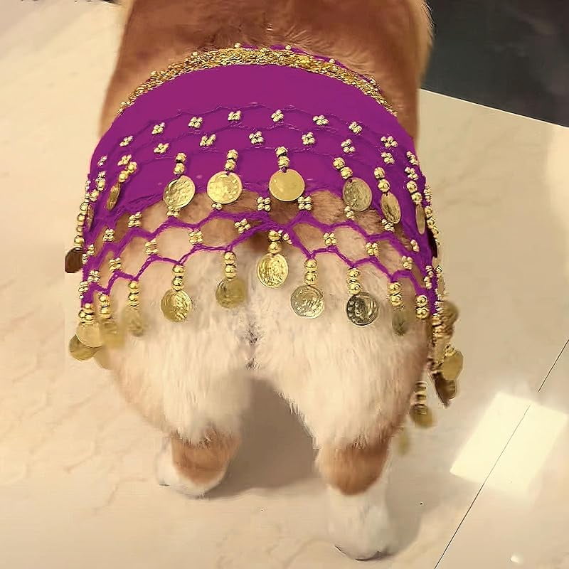 Belly Dancer Skirt for Dogs,Dog Belly Dancer Skirt, Corgi Dog Costume ...