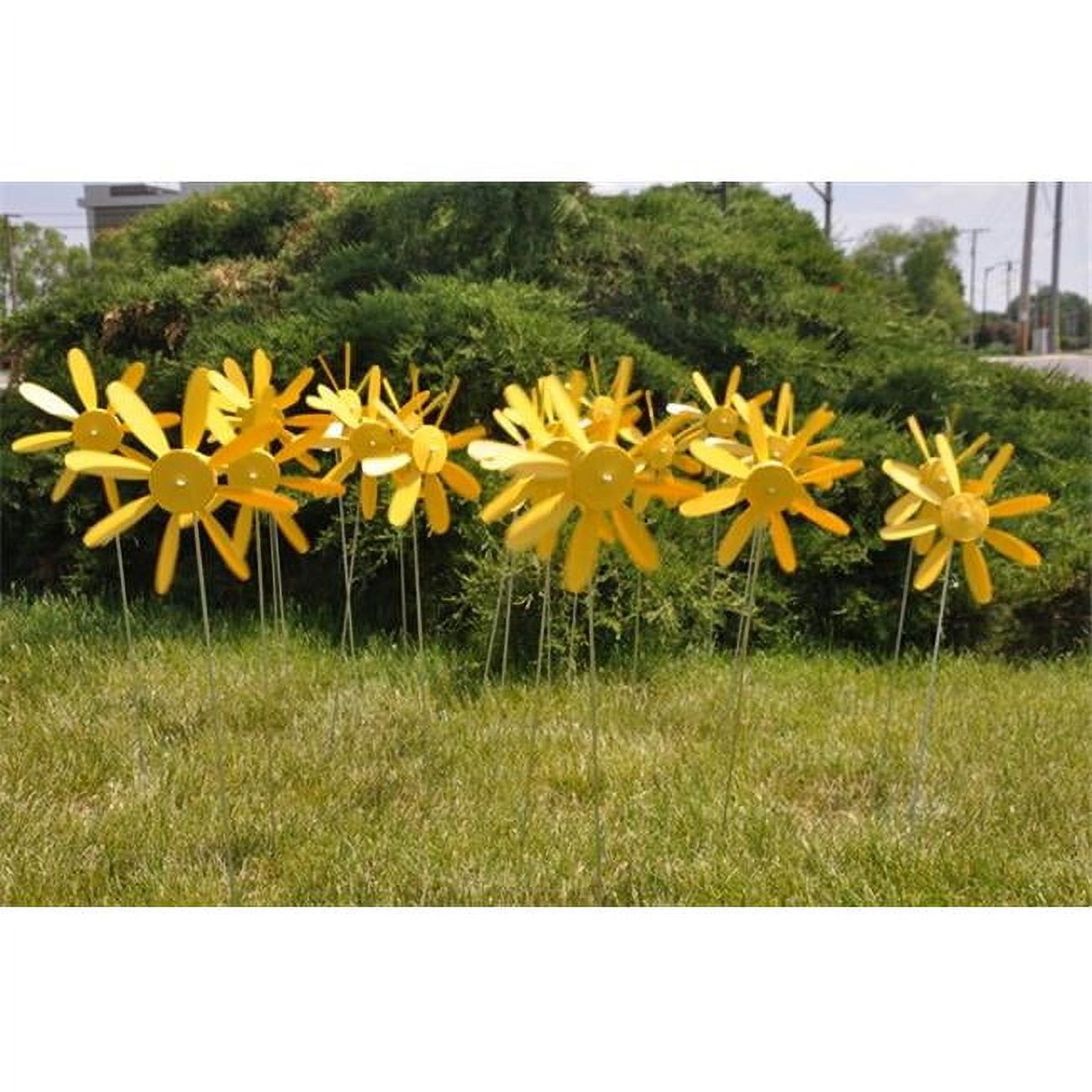 Beloit Plastics, LLC Early Bloomer Spinning Daisy, 8 inch Dia, 12 Pack ...