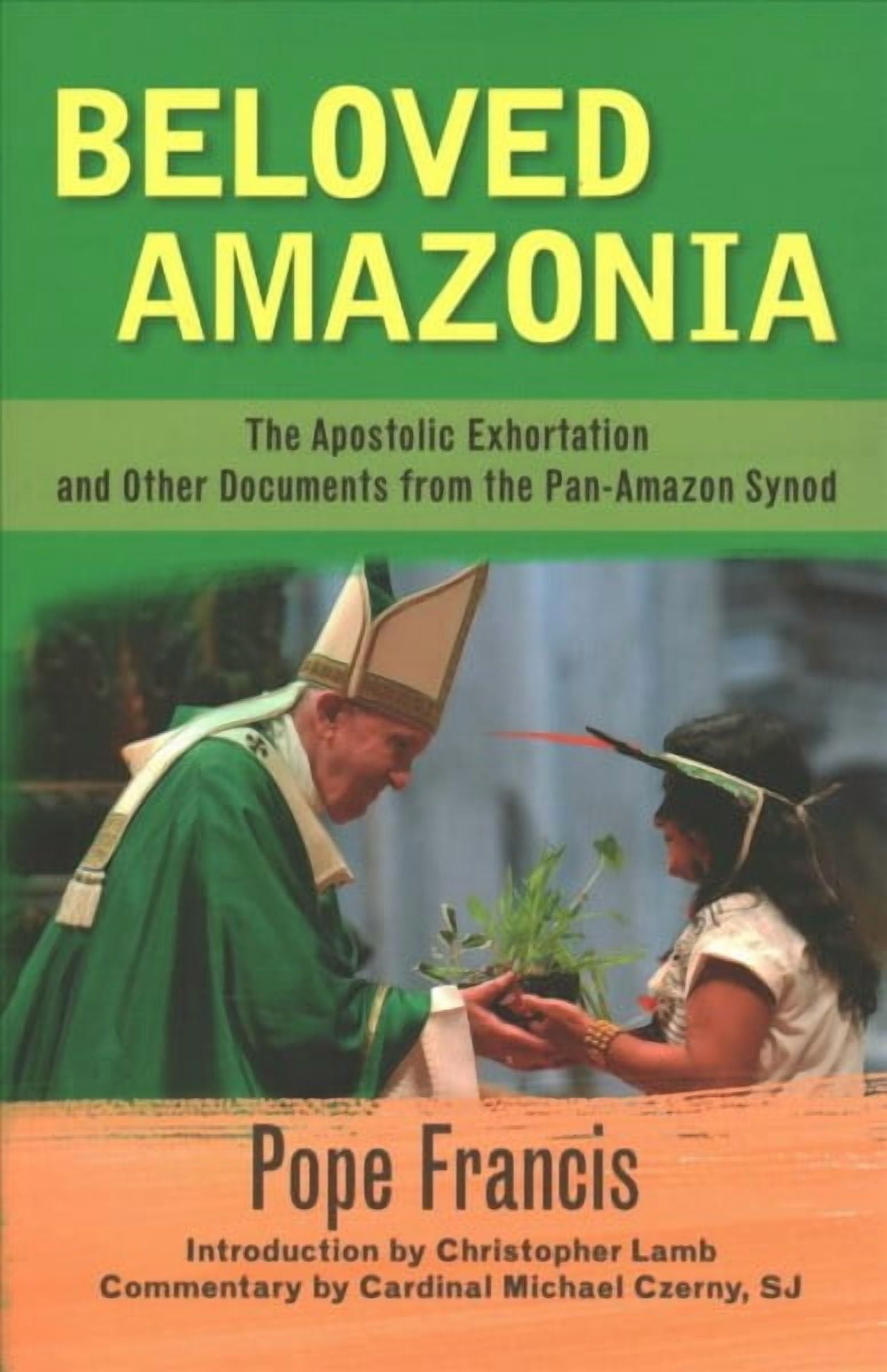 Beloved Amazonia: The Apostolic Exhortation and Other Documents from ...