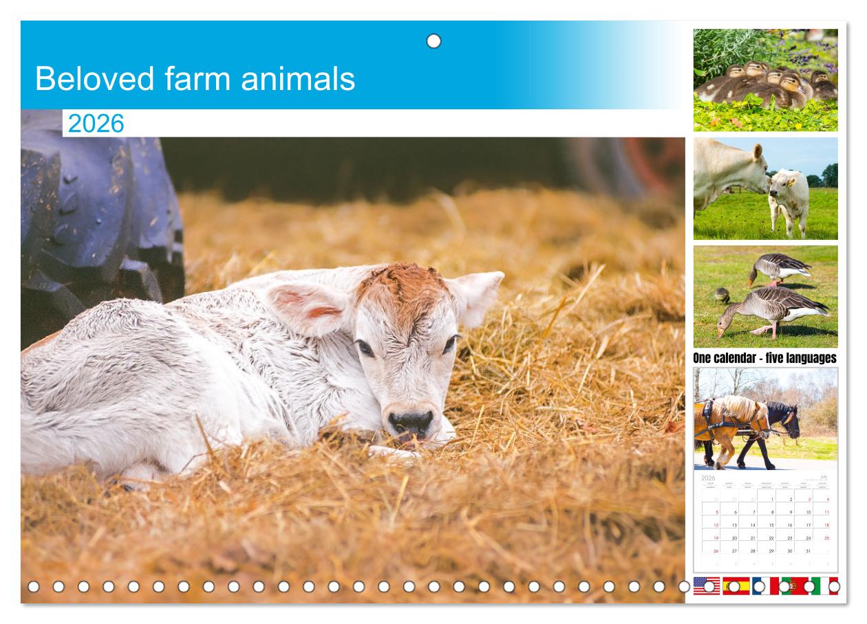 Beloved farm animals (Monthly Wall Calendar 2026 11.7 x 16.5 (open ...