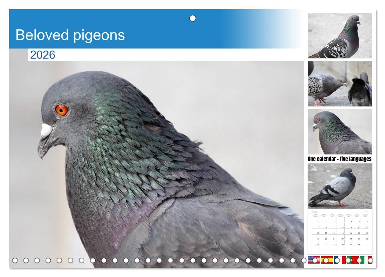Beloved pigeons (Monthly Wall Calendar 2026 16.5 x 23.4 (open ...