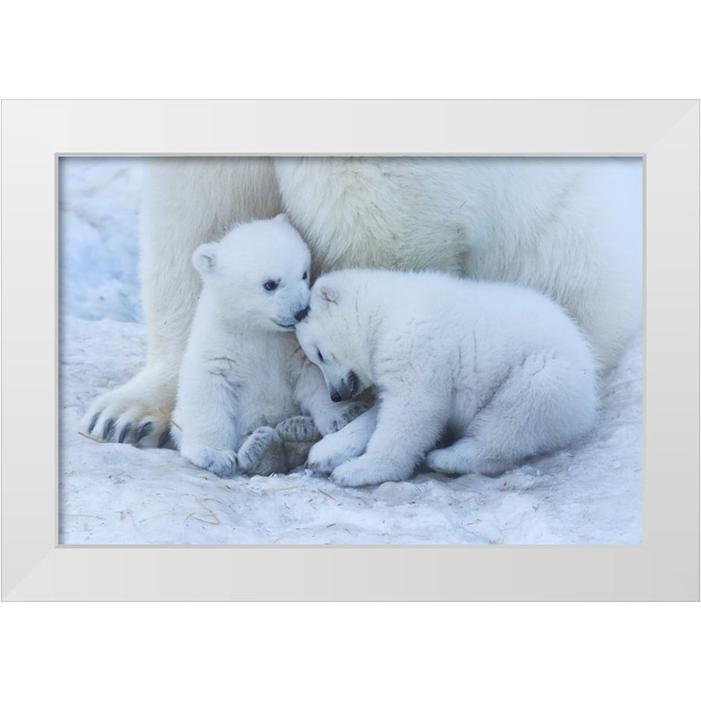 Belovodchenko, Anton 32x23 White Modern Wood Framed Museum Art Print ...
