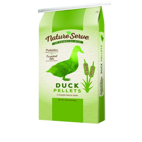 Duck Feed