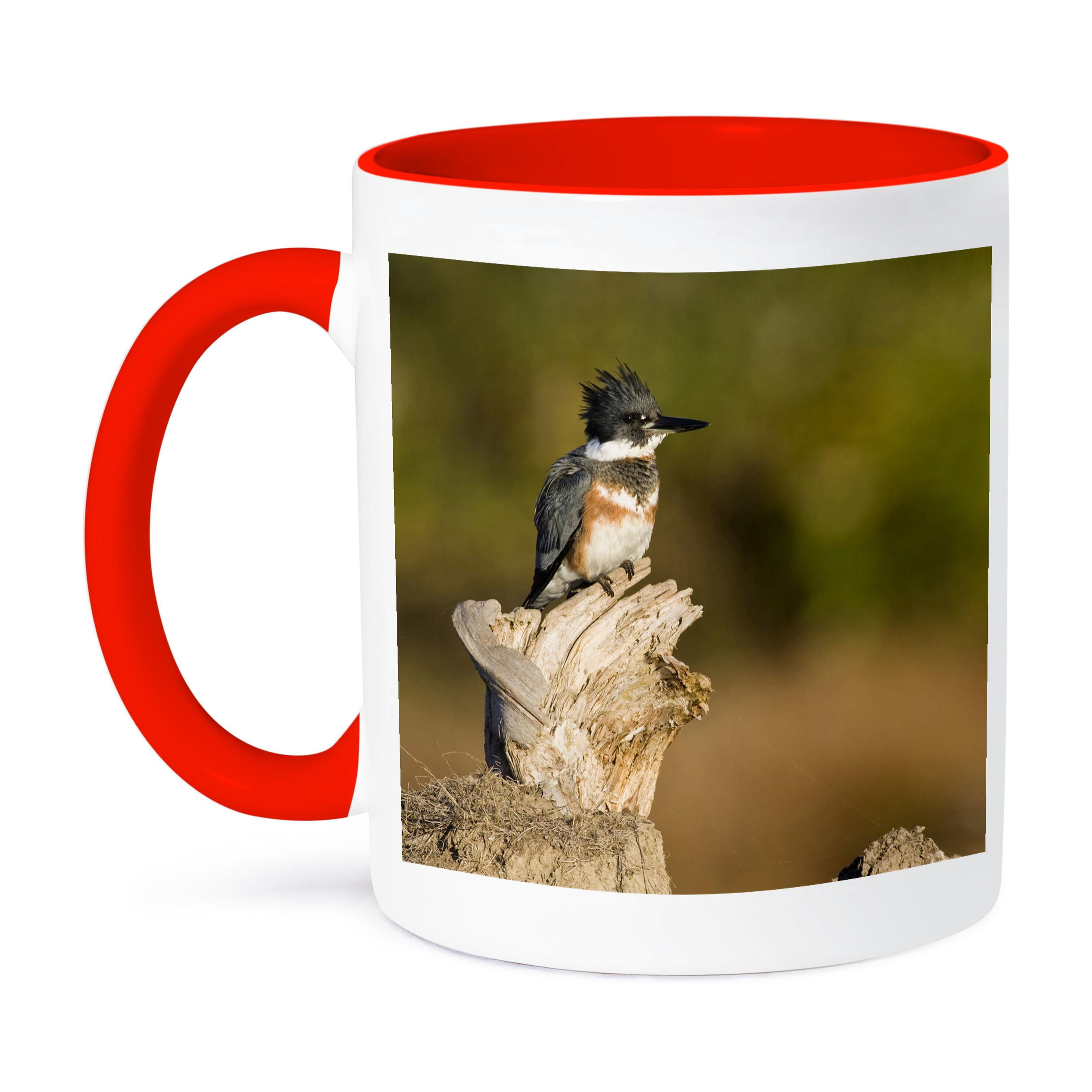 Belted Kingfisher Bird, Ankeny Nwr, Oregon - Us38 Rbr0055 - Rick A ...