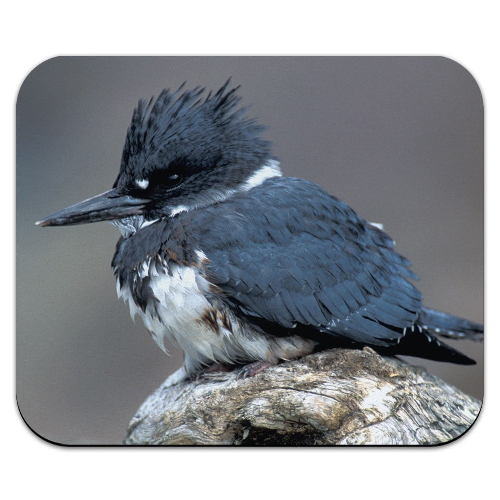 Belted Kingfisher - Bird Mouse Pad - Walmart Business Supplies