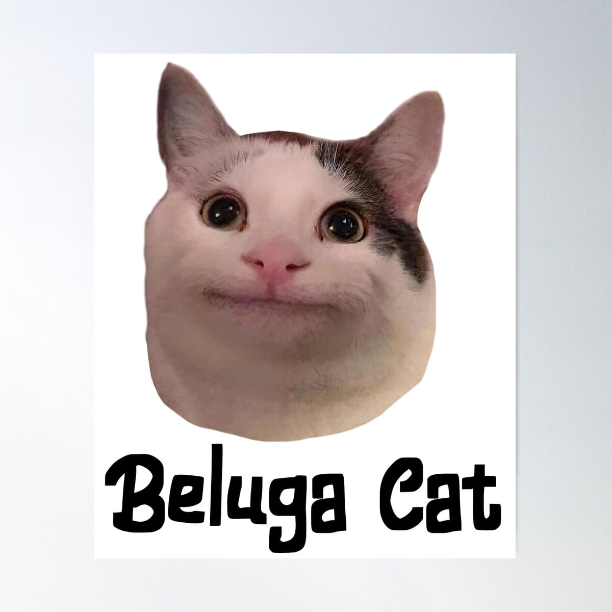Beluga Cat Discord Pfp Poster Wall Art, Modern Wall Decor For Living ...
