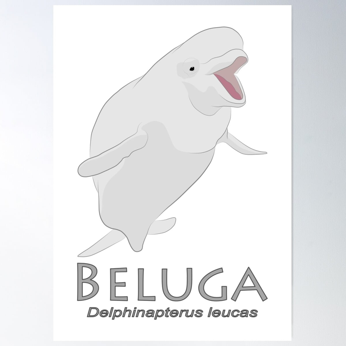 Beluga Poster Wall Art, Modern Wall Decor For Living Room Bedroom ...
