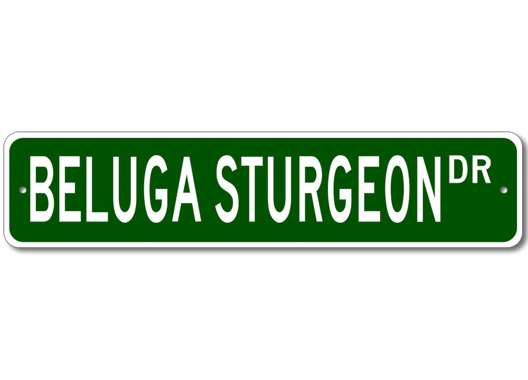 Beluga Sturgeon Fish Sign Metal Wall Decor Fishing Street Sign Size: 4 ...