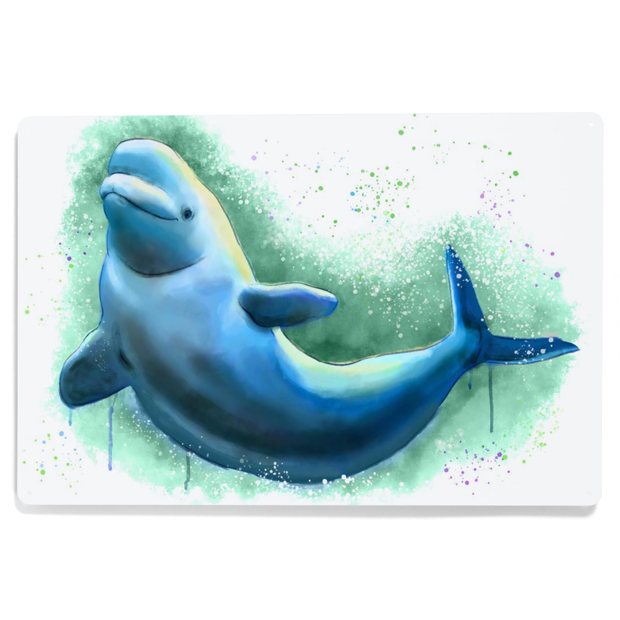 Beluga Whale, Natural Colors (12x18 Aluminum Art, Indoor Outdoor Metal ...