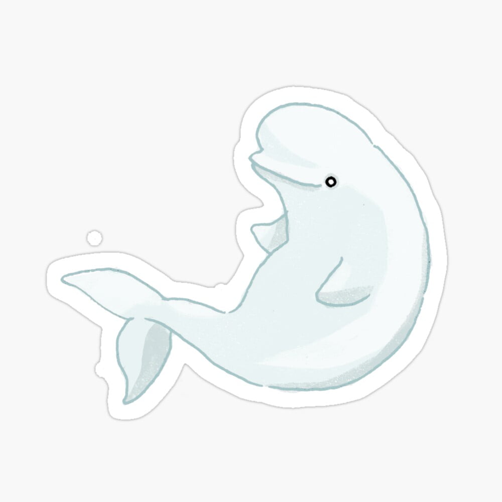 Beluga Whale Sticker Phone Decal Water Bottle Stickers Car Decals ...