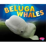 Beluga Whales - Walmart.com