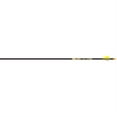 Beman ICS Precision Hunter Arrows, Pack of 6 - Walmart.com