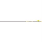 Beman ICS Precision Hunter Arrows, Pack of 6 - Walmart.com