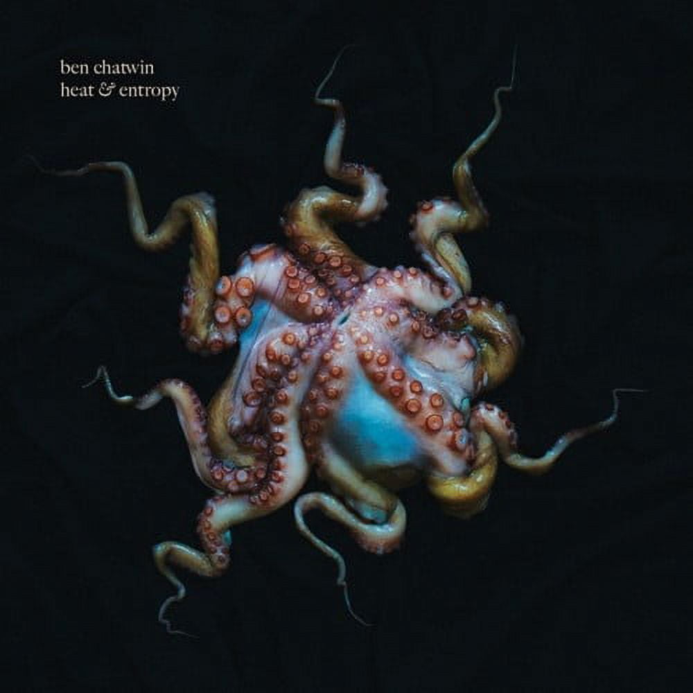 Ben Chatwin - Heat & Entropy - Rock - CD - Walmart.com