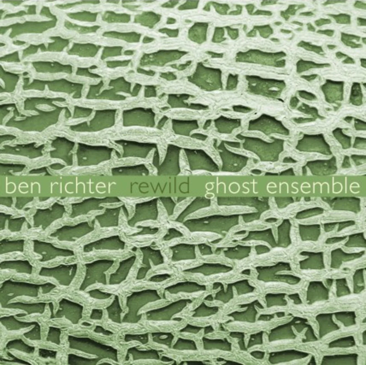 Ben Richter Ben Richter: Rewild (CD) Album - Walmart.com