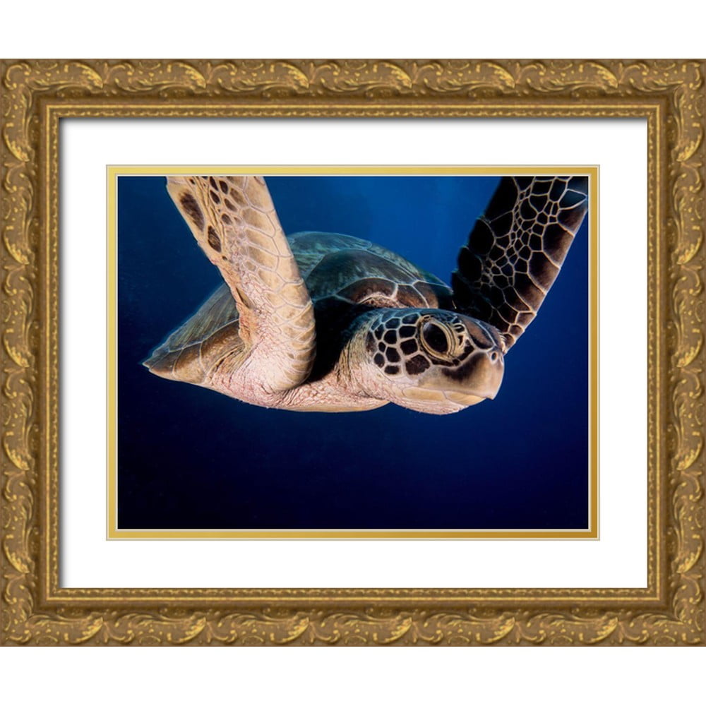 Ben Tov, Ilan 14x12 Gold Ornate Wood Framed with Double Matting Museum ...