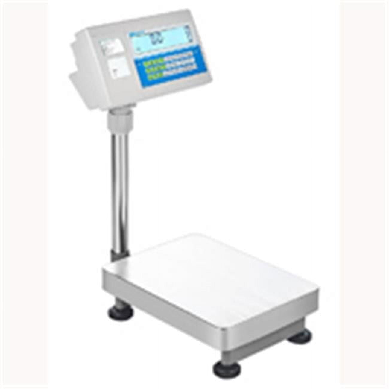 Bench & Floor Counting Scale - 660 lbs - Walmart.com