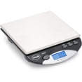 Bench Series Precision Digital Kitchen Weight Scale, Food Measuring ...