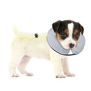 Pets Kitten Elizabethan Adjustable Soft Edge Cat E-Collar Cute Toast ...