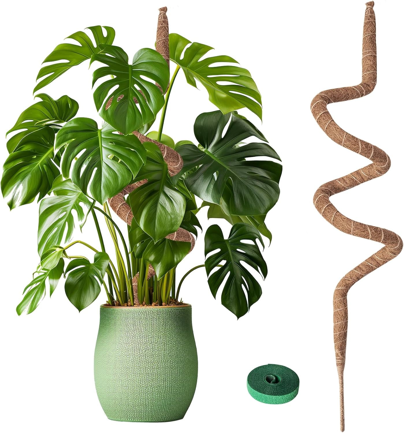 Bendable Moss Pole for Plants Monstera, Tall Moss Poles for Climbing ...