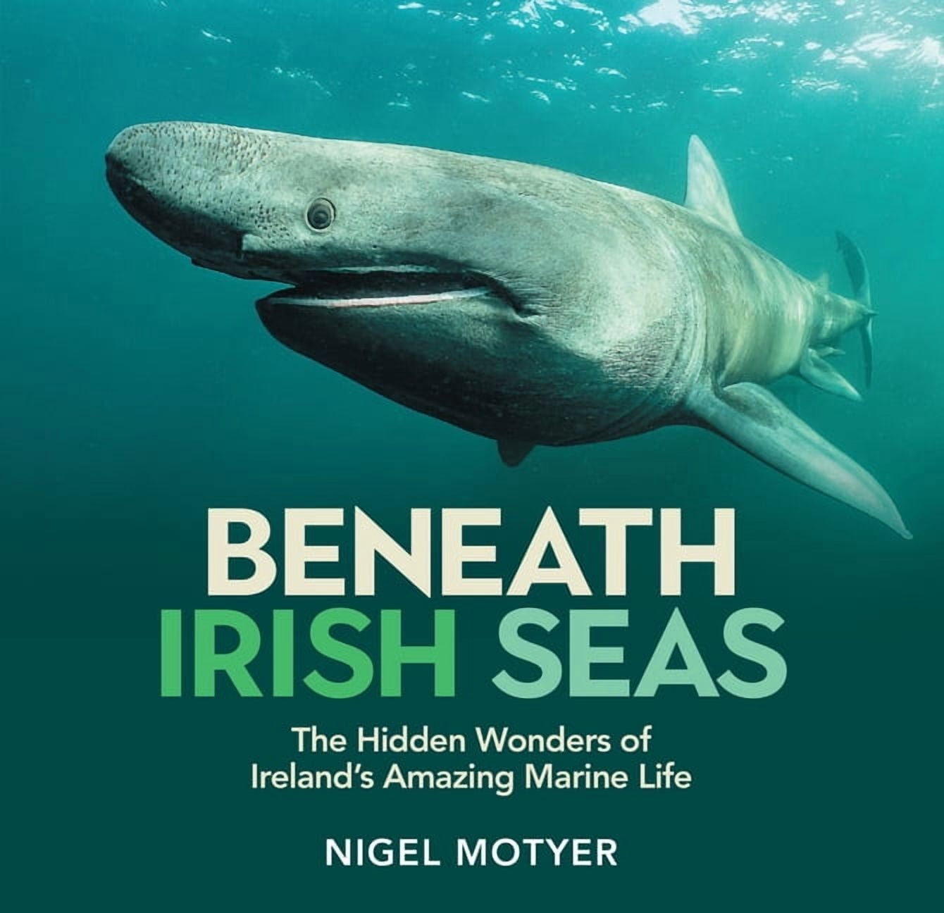 Beneath Irish Seas: The Hidden Wonders of Ireland's Amazing Marine Life ...
