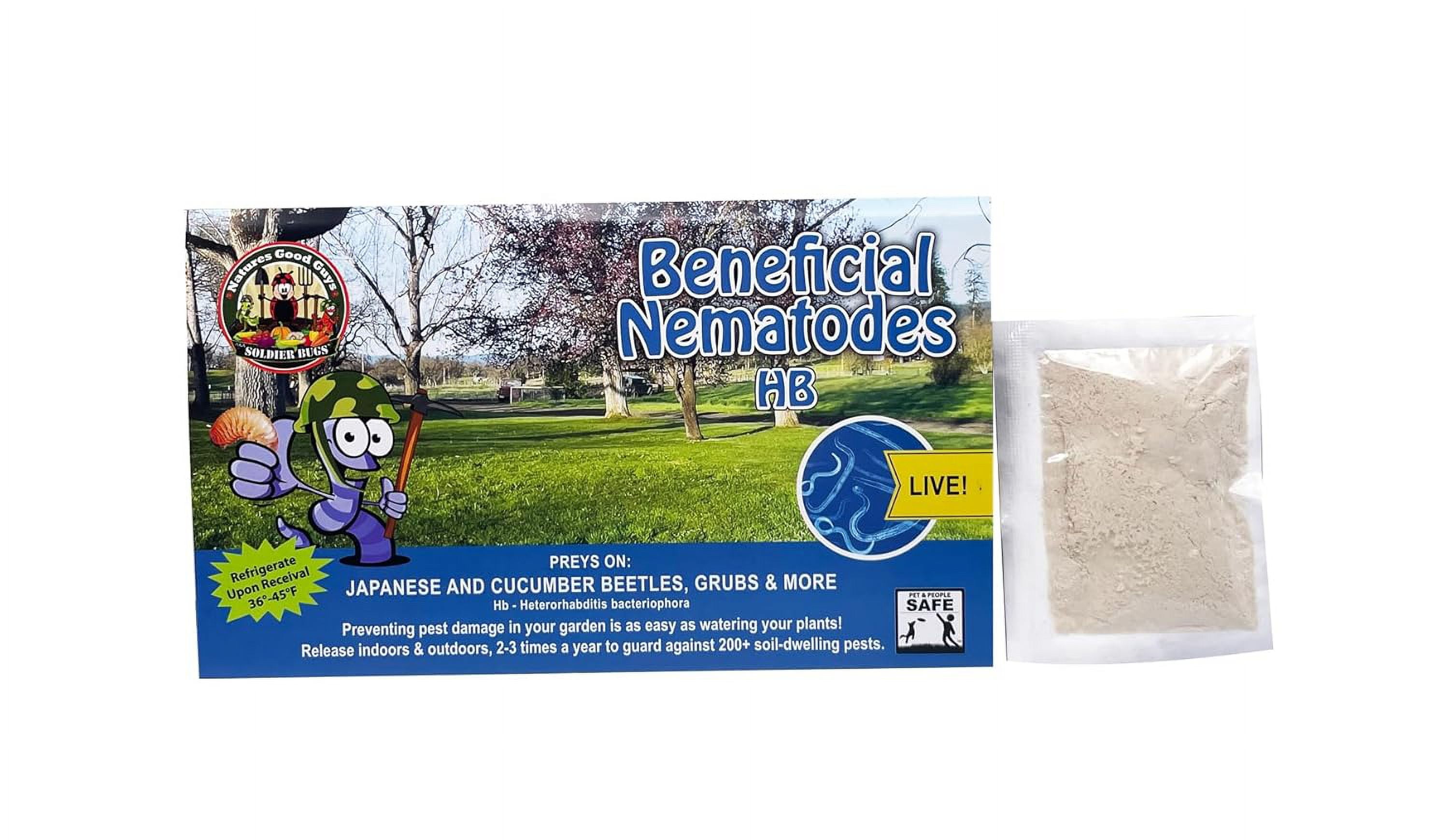 Beneficial Nematodes Heterohabditis bacteriophora HB (5 Million ...