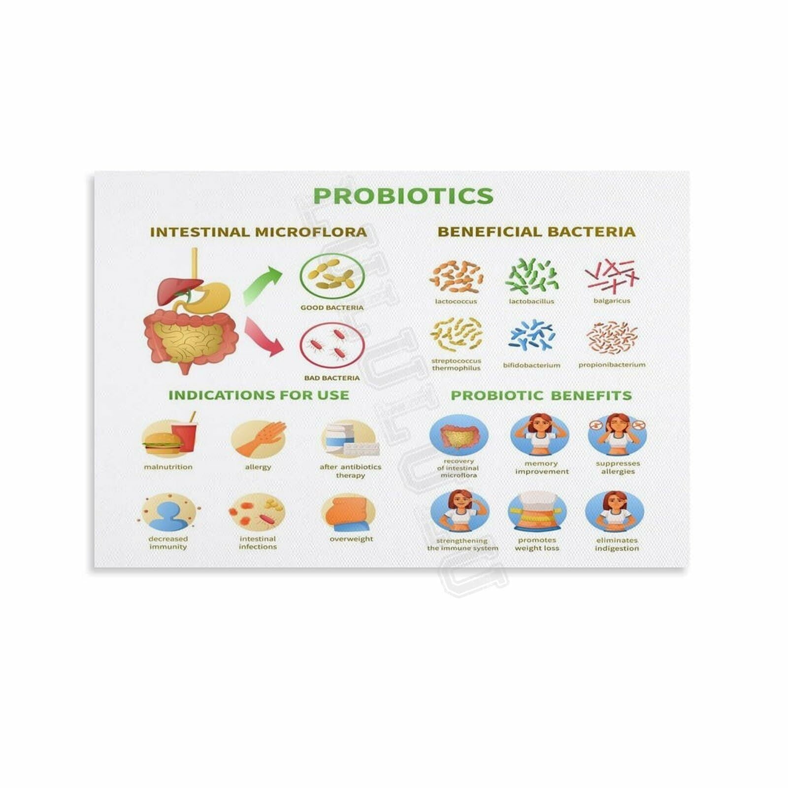 Benefits Of Probiotics Poster (3) Canvas Painting Wall Art Poster for ...
