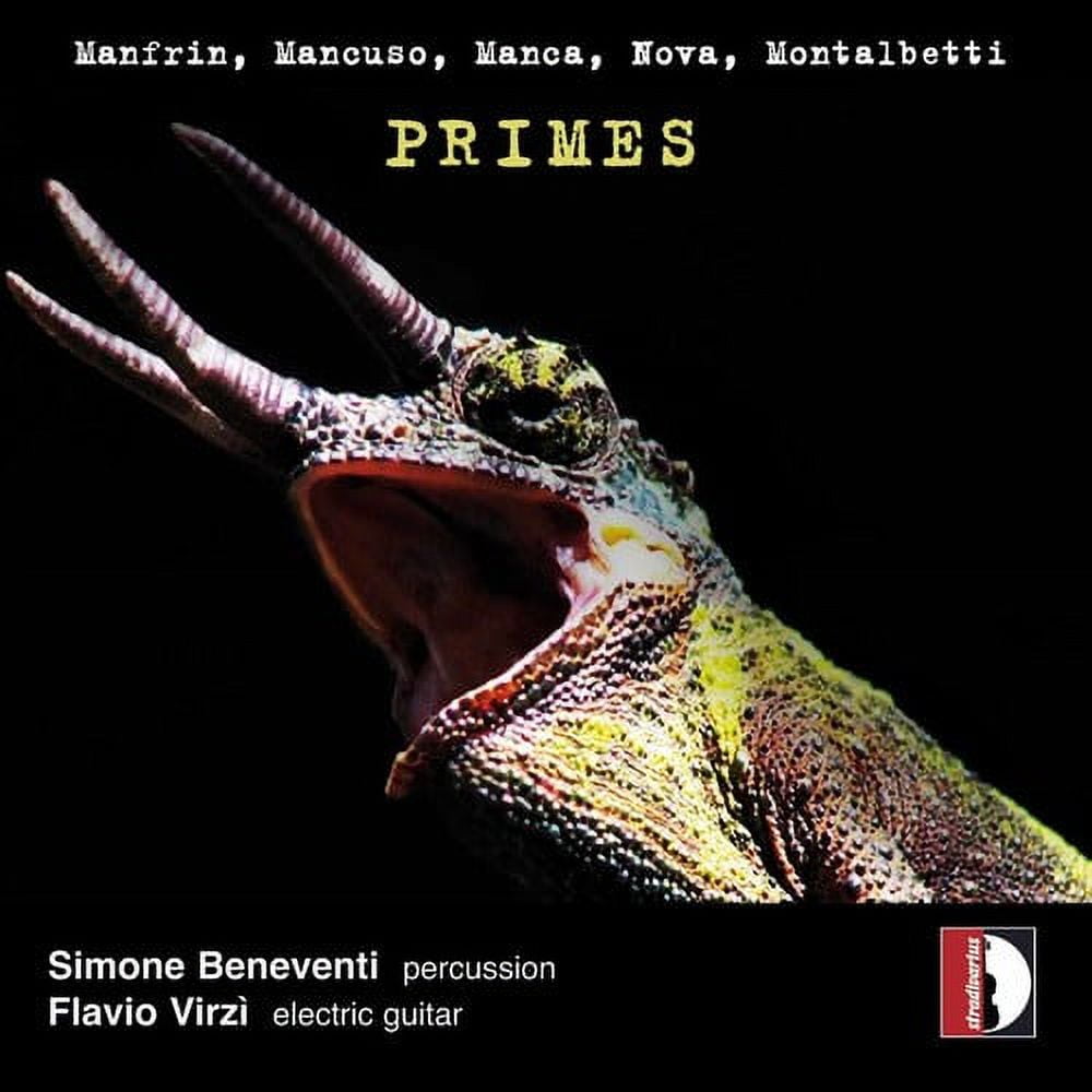 Beneventi,Simone / Virzi,Flavio - Primes - Music & Performance - CD ...