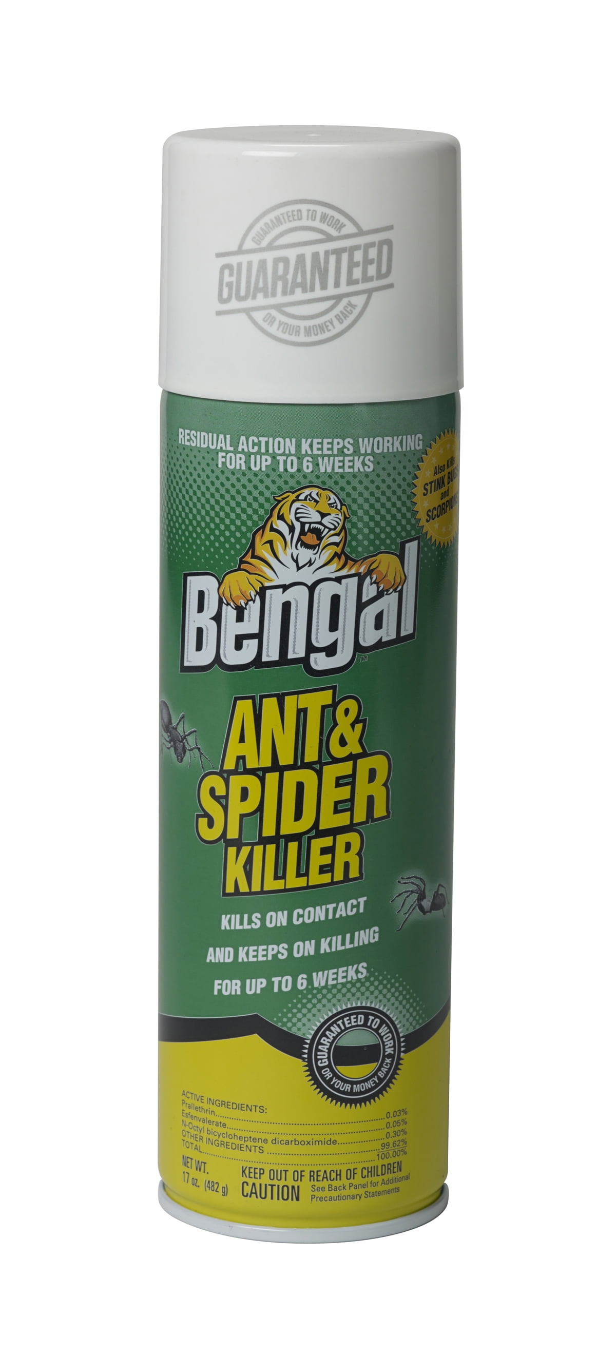 Bengal Ant & Spider Killer, 17 oz - Walmart.com