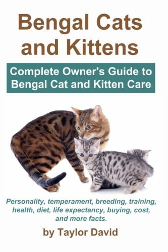 Bengal Cat Life Expectancy