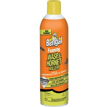 Bengal Gold Roach Spray, Odorless Stain-Free Dry Aerosol Killer Spray ...