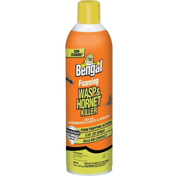 Wasp Spray in Pest Control - Walmart.com