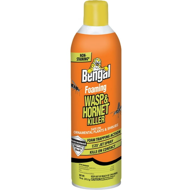 Bengal Foaming Wasp & Hornet Killer, 16 oz Aerosol Can for Outdoor Use ...