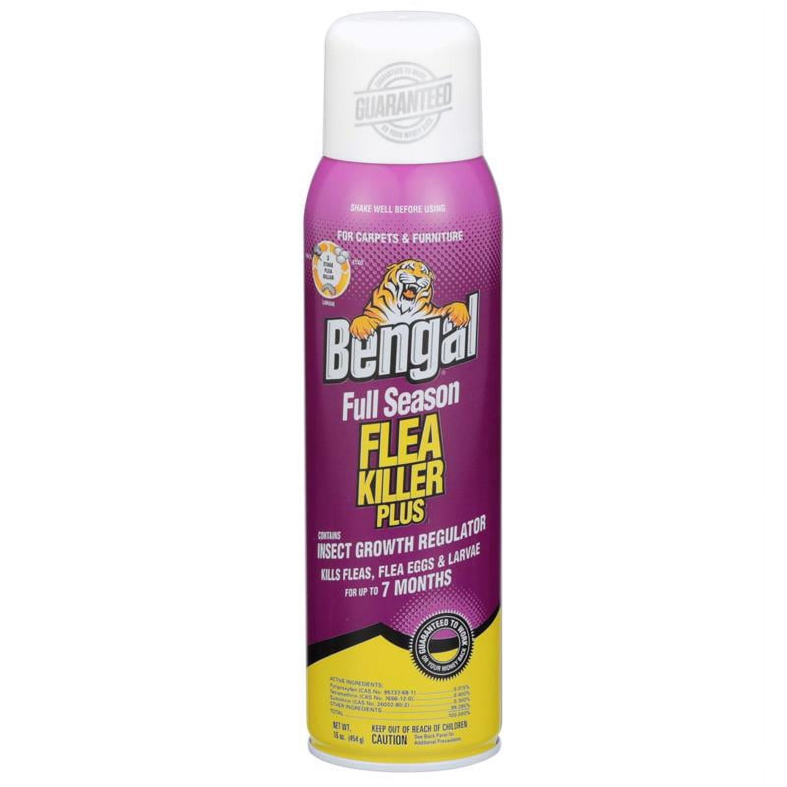 Bengal Home Flea and Tick Killer Plus, Indoor Safe 16oz Aerosol Can ...