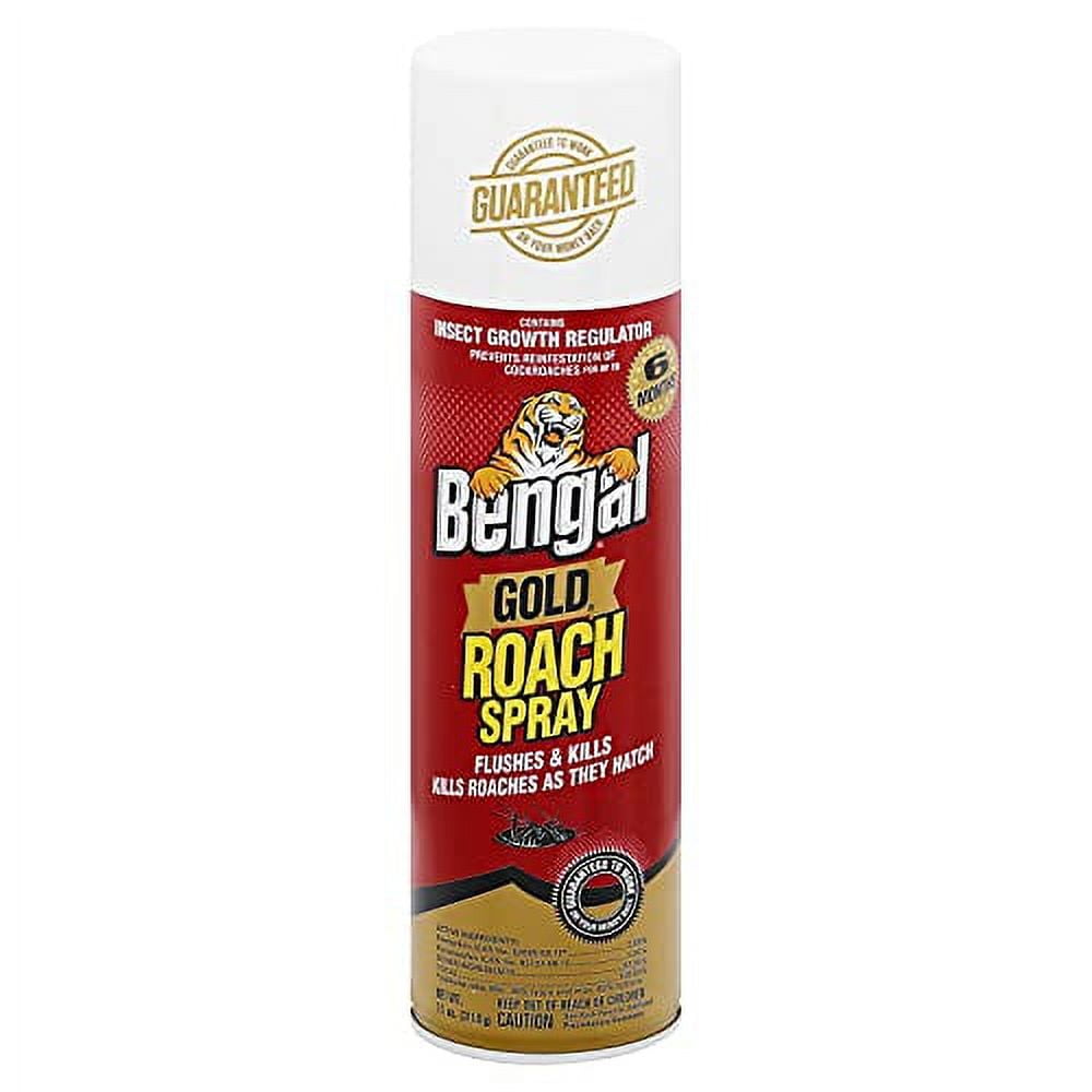 Bengal Products 11 oz. Gold Roach Spray - Walmart.com
