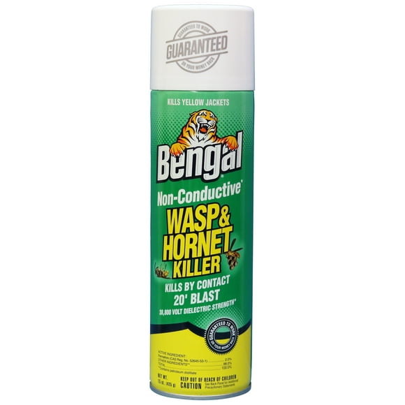 Wasp Spray in Pest Control - Walmart.com