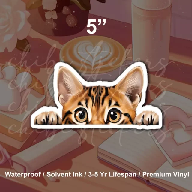 Bengal Rare Cat Kitten Kitty Peeking Sticker Vinyl Waterproof Phone ...