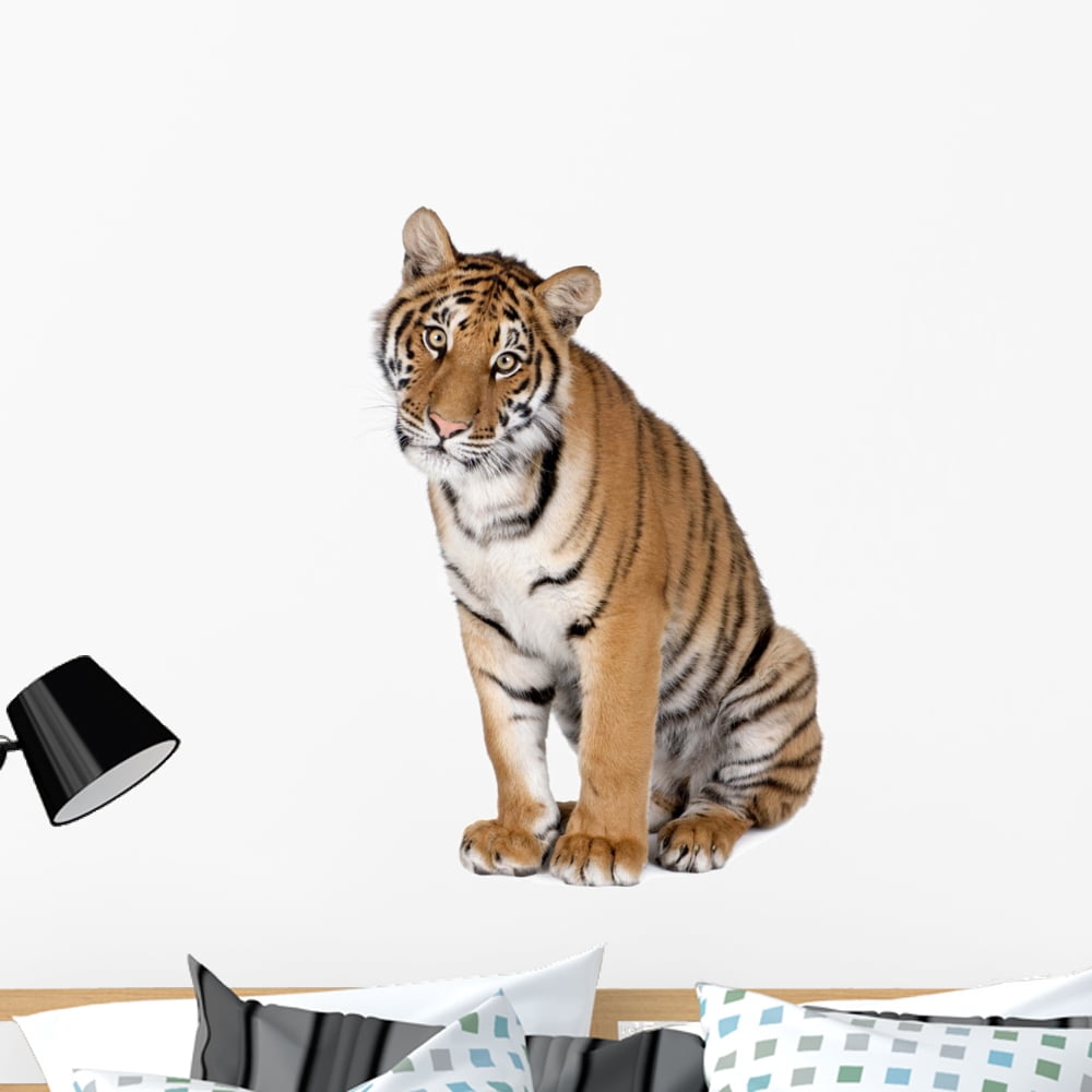 Bengal Tiger Sitting Wall Decal by Wallmonkeys Peel and Stick Graphic ...