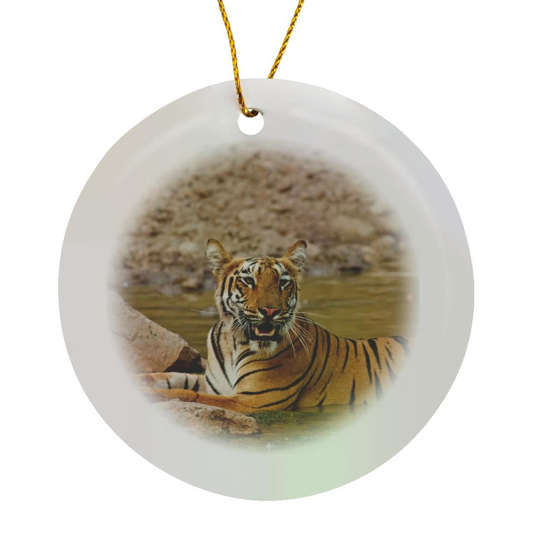 3drose, Bengal Tiger, Tadoba Andheri Tiger Reserve., Circle Porcelain ...