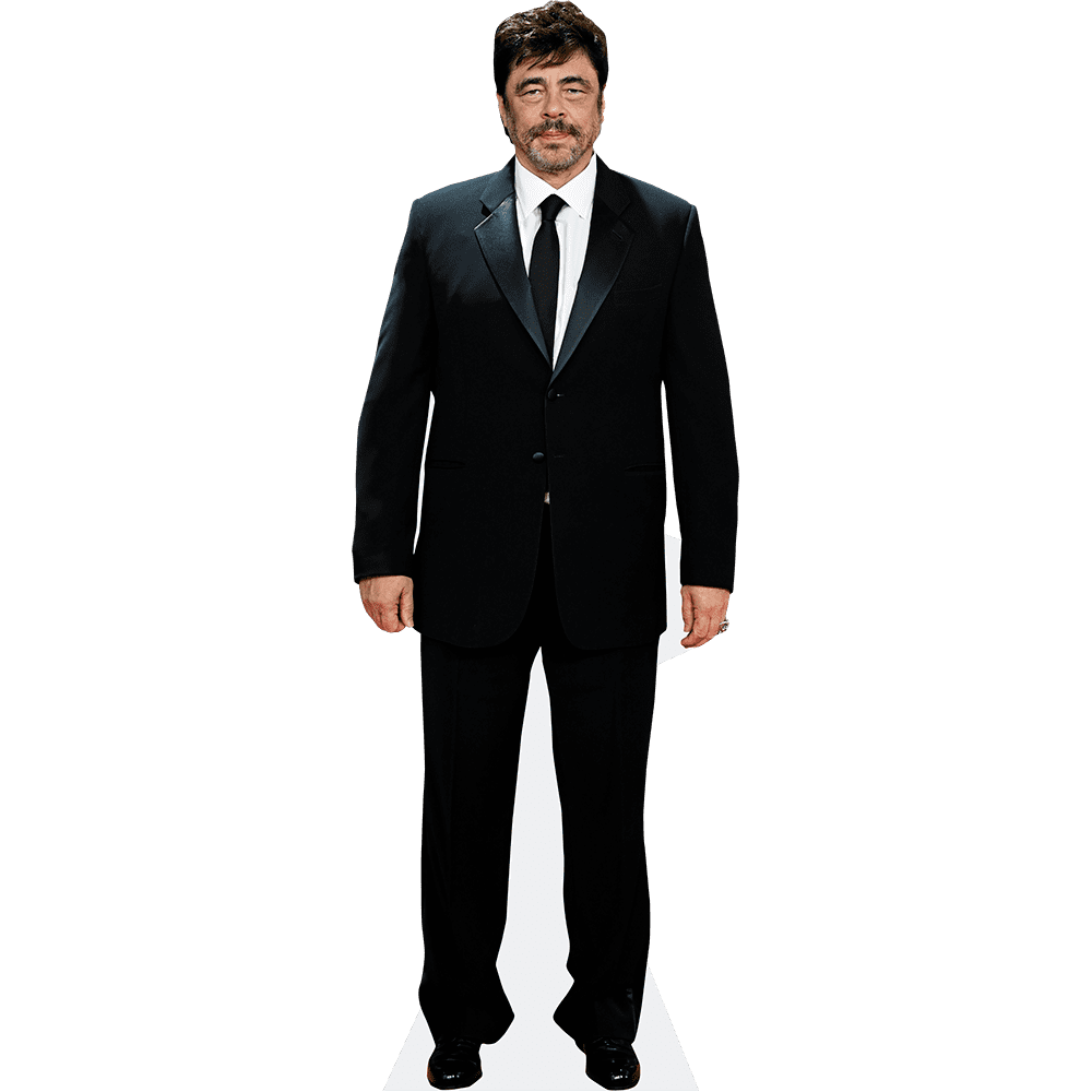 Benicio del Toro (Suit) Lifesize Cardboard Cutout Standee - Walmart.com