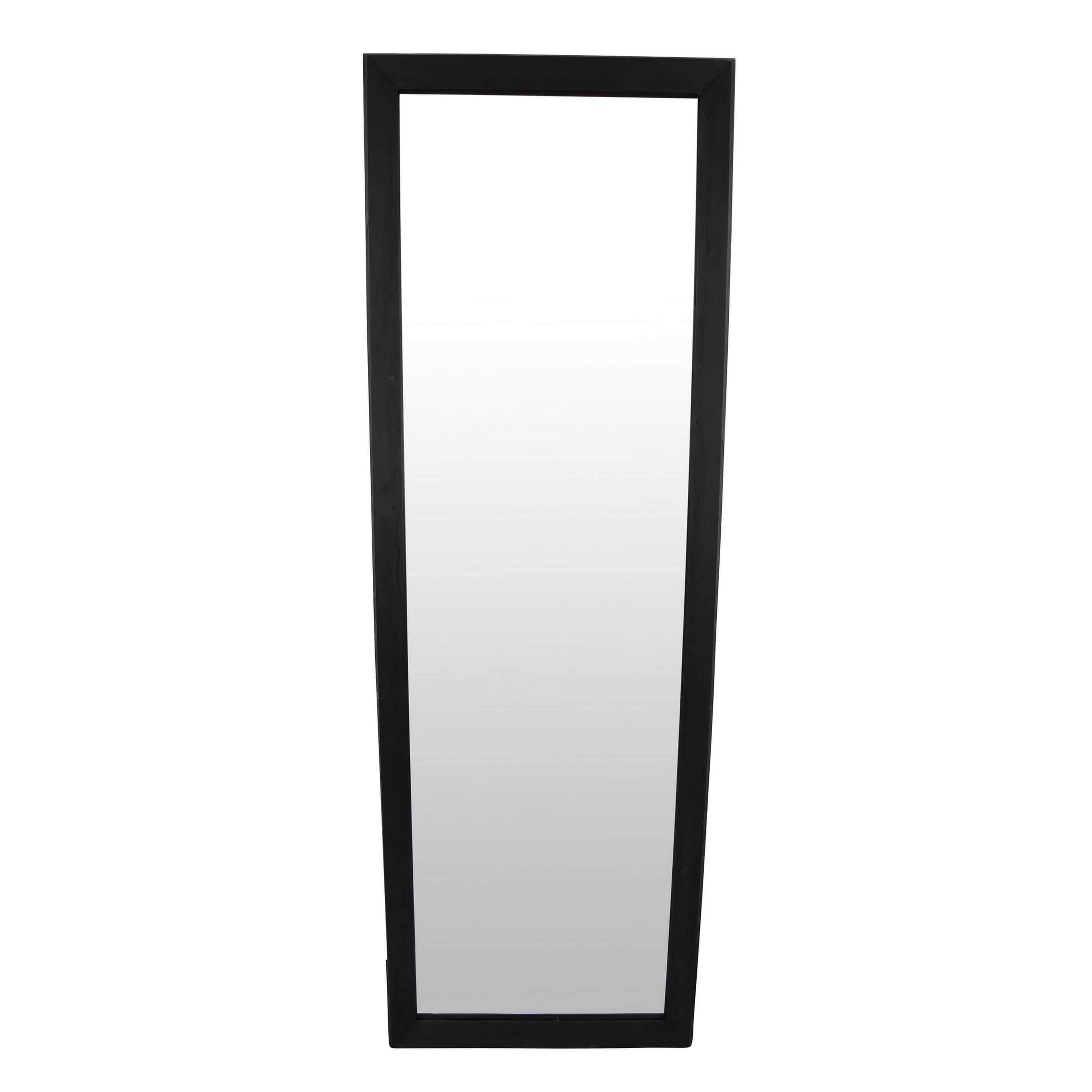 Wall-Mounted Mirror with Tall Rectangular Frame, 24 x 71, Black Metal ...
