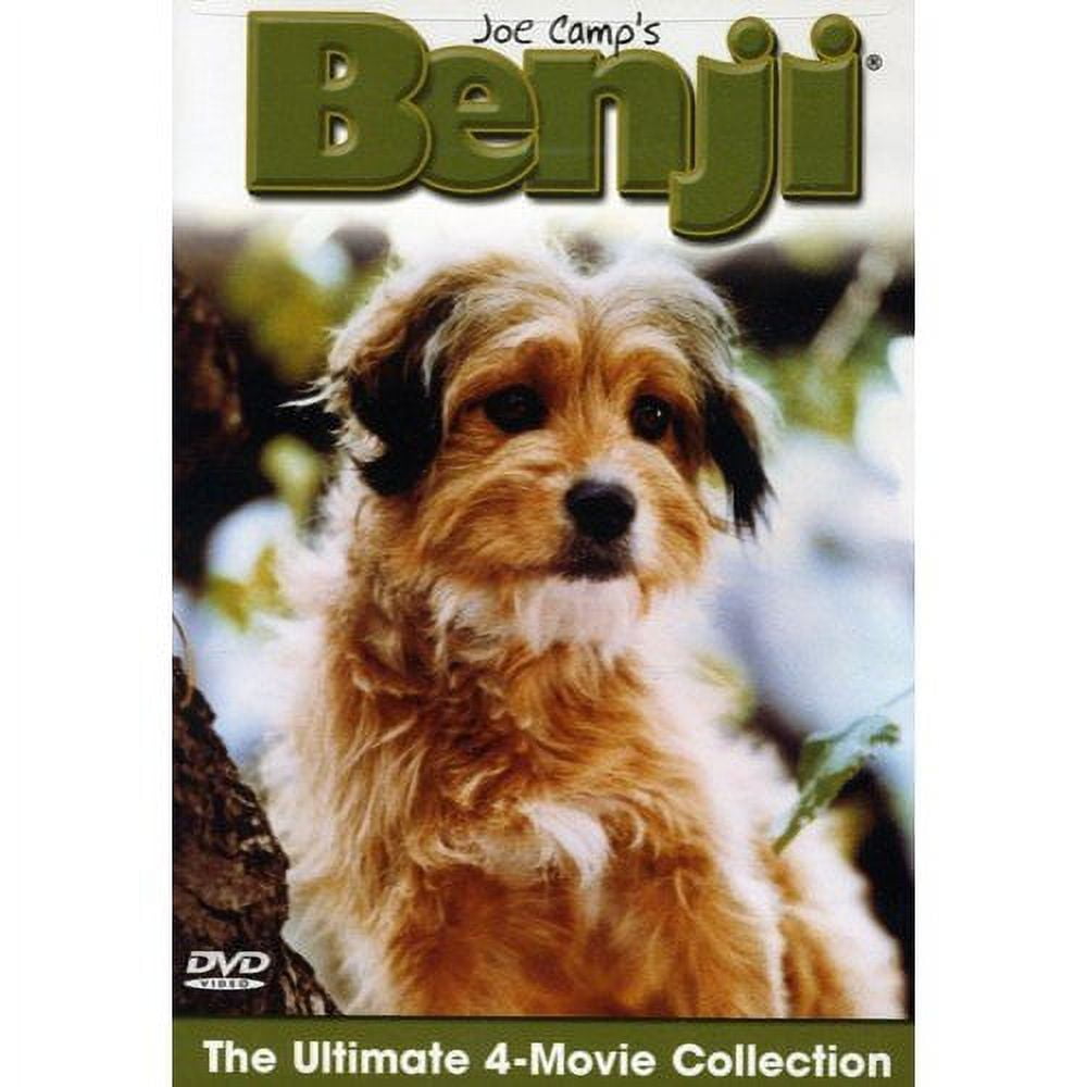 Pre-Owned Benji:Ult 4 Movie Coll (Dvd) (Good) - Walmart.com