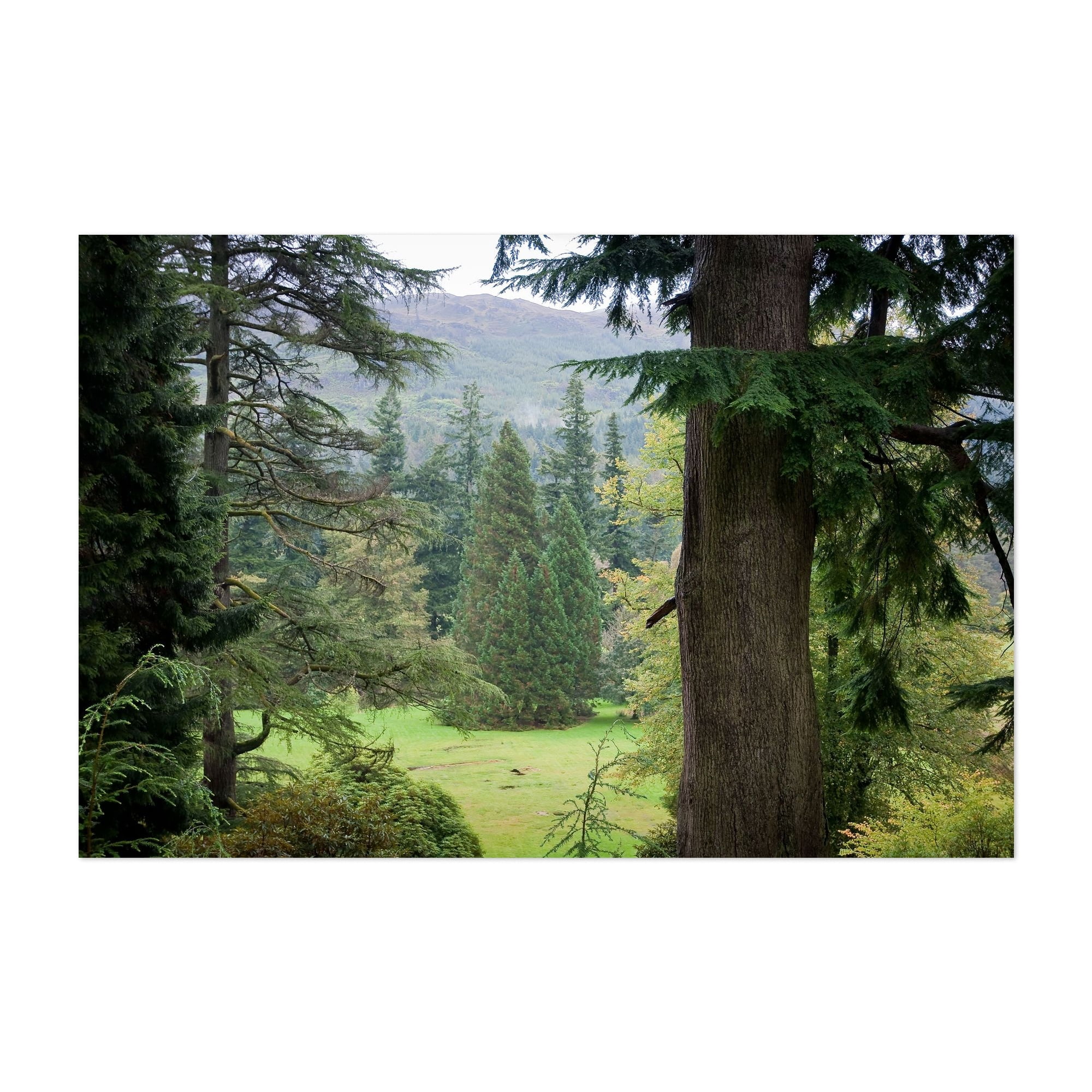 Benmore Botanic Garden. Scotland - Scotland United Kingdom Photography ...