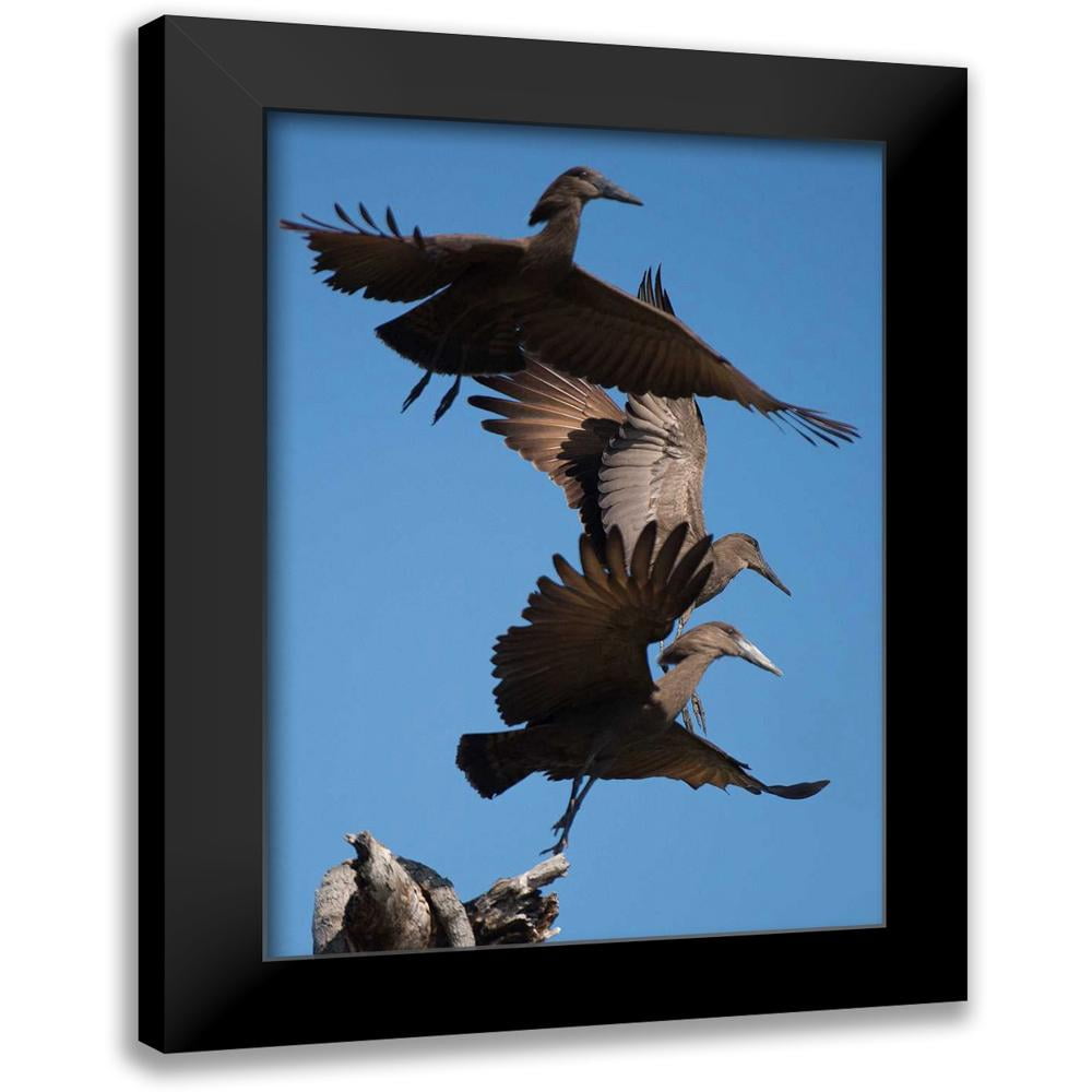 Bennion, Scott 11x14 Black Modern Framed Museum Art Print Titled ...