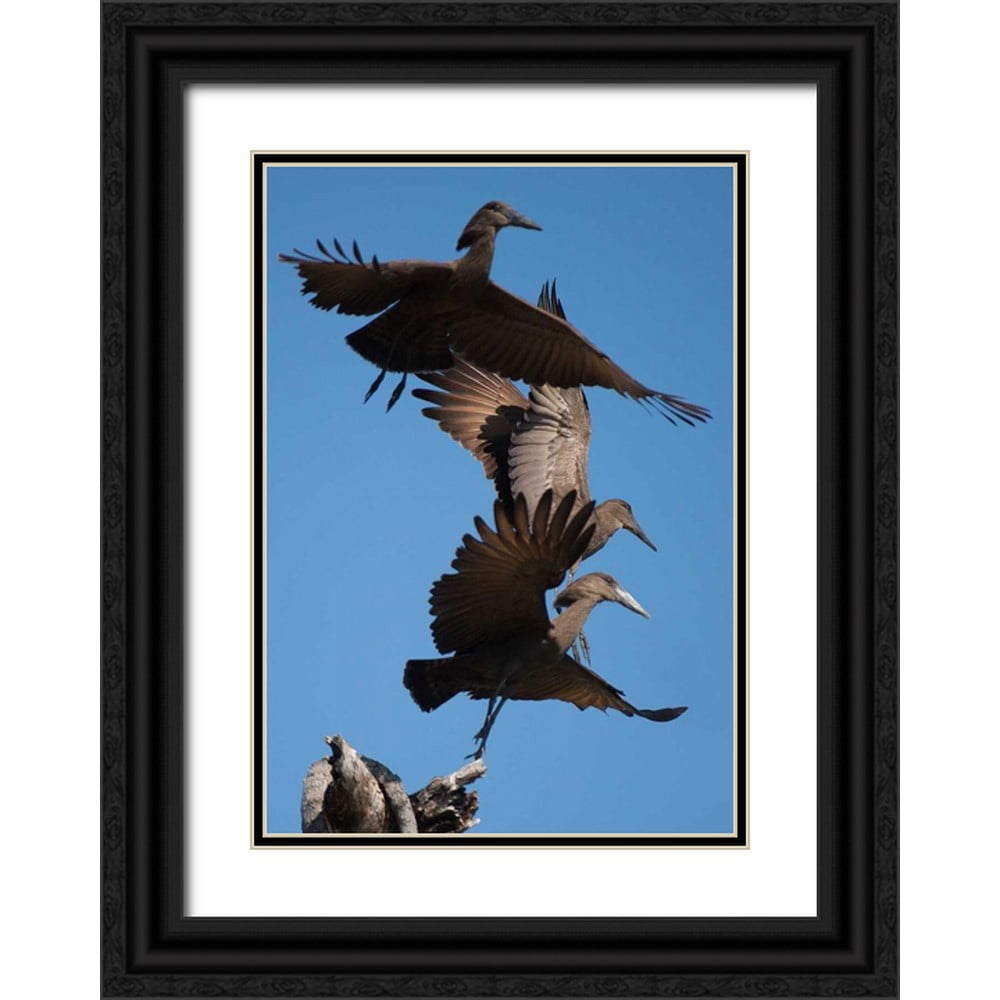 Bennion, Scott 11x14 Black Ornate Wood Framed with Double Matting ...