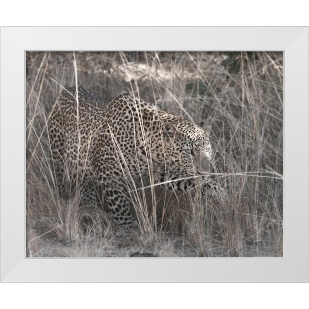 Bennion, Scott 14x12 White Modern Wood Framed Museum Art Print Titled ...